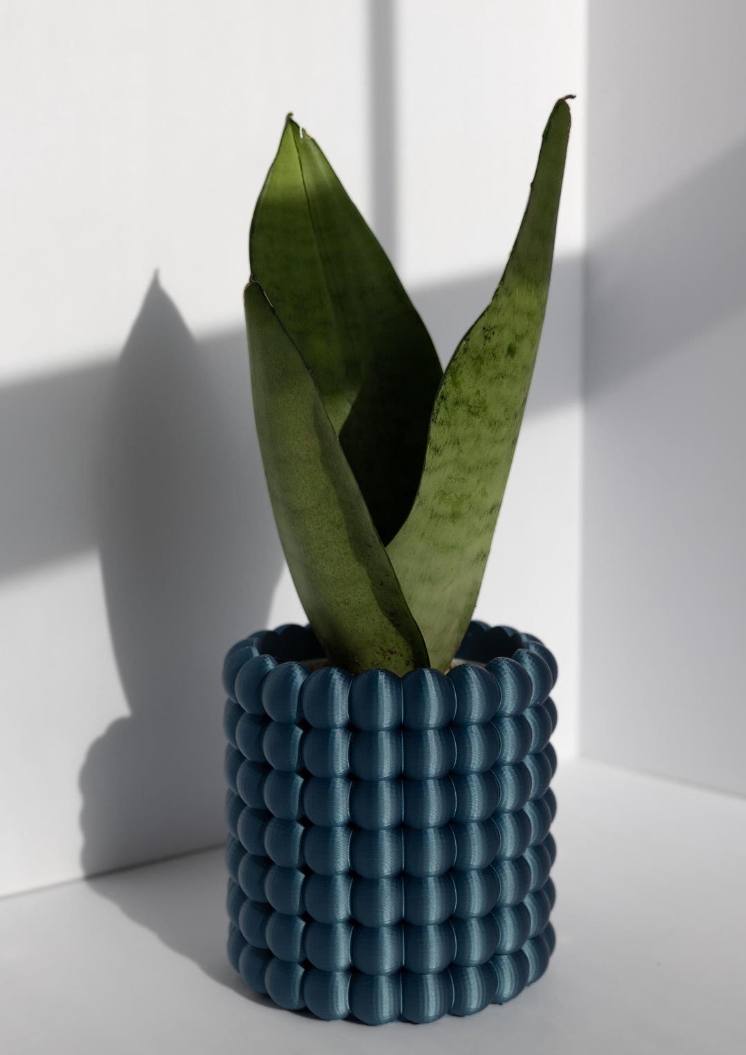 Bubble Wall Planter With a Built-in Drip Tray, Perfect for Keeping Your ...