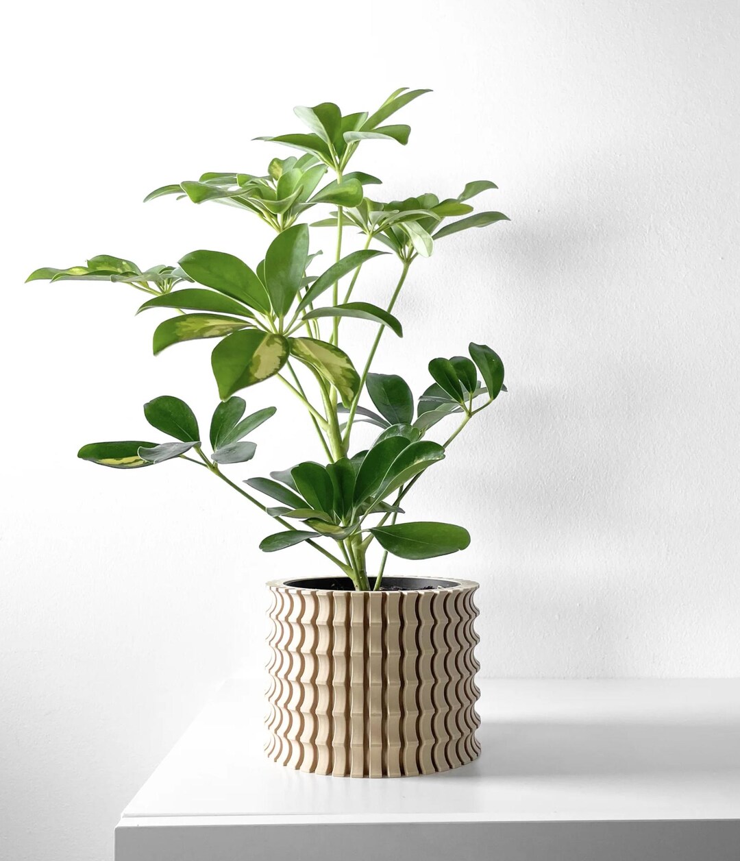 Introducing the Pillar Planter With Drainage Hole, an Elegant Gardening ...