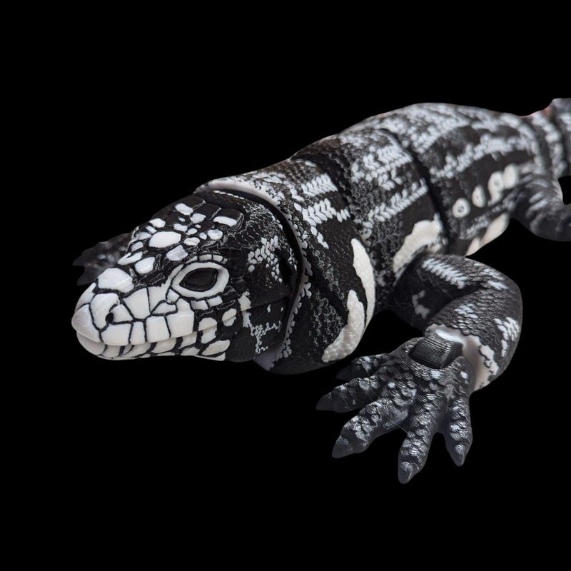 Tegus Lizards - Etsy UK