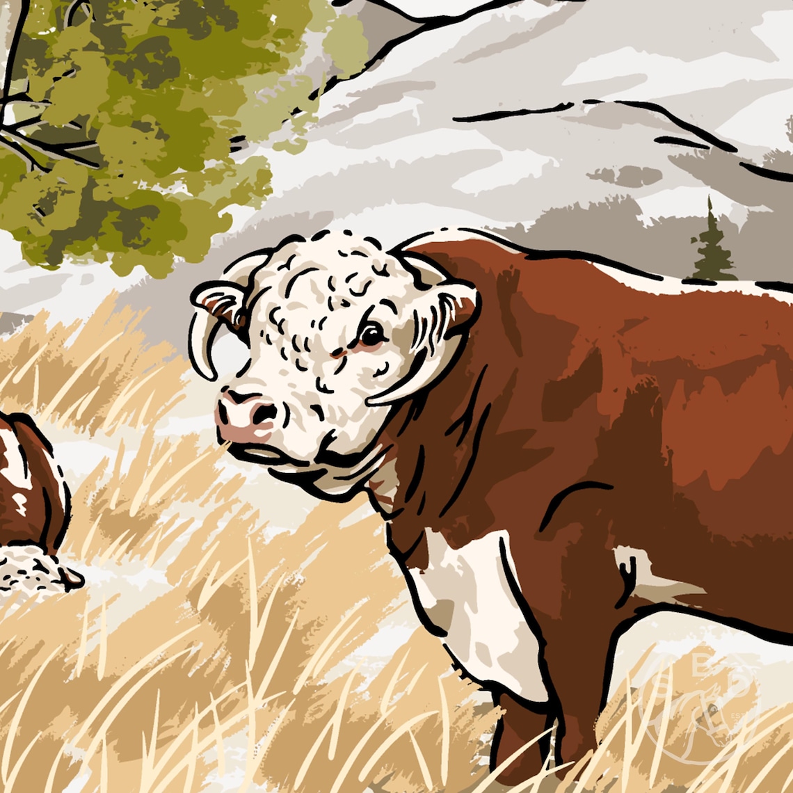 Hereford on the Pasture, Western Design, Cattle Graphic, Retro Vintage ...