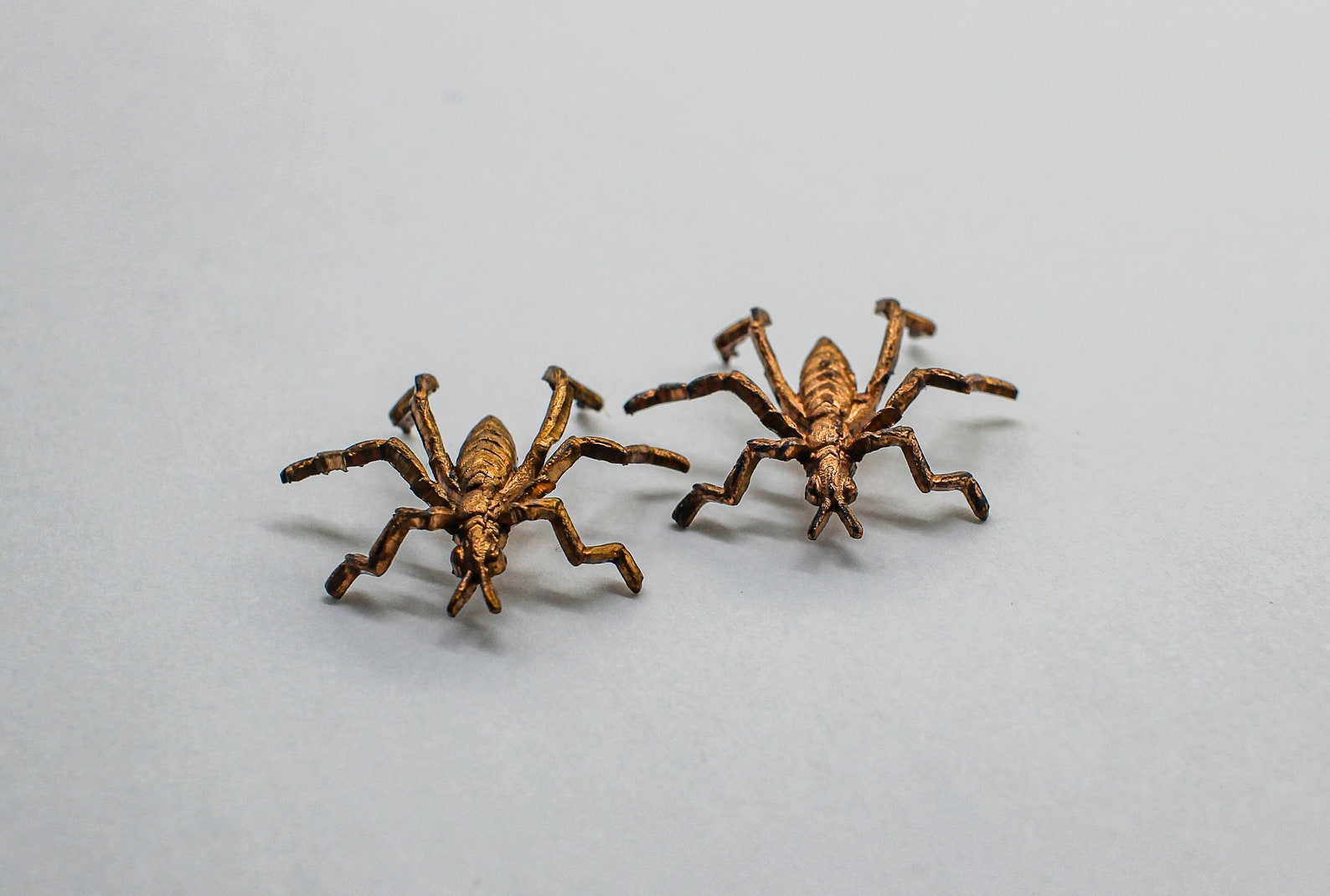 Unusual Oxidized Brass Bug Finding - Etsy