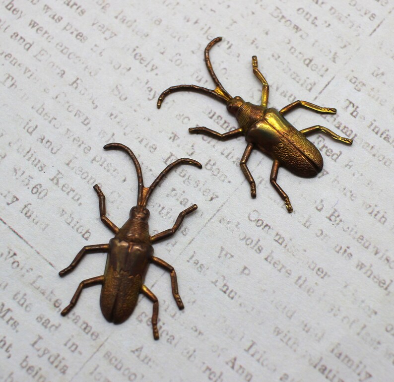Oxidized Brass Longhorn Beetle Bug Stampings - Etsy