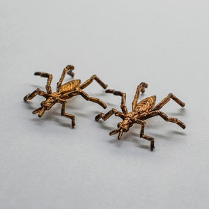 Unusual Oxidized Brass Bug Finding - Etsy