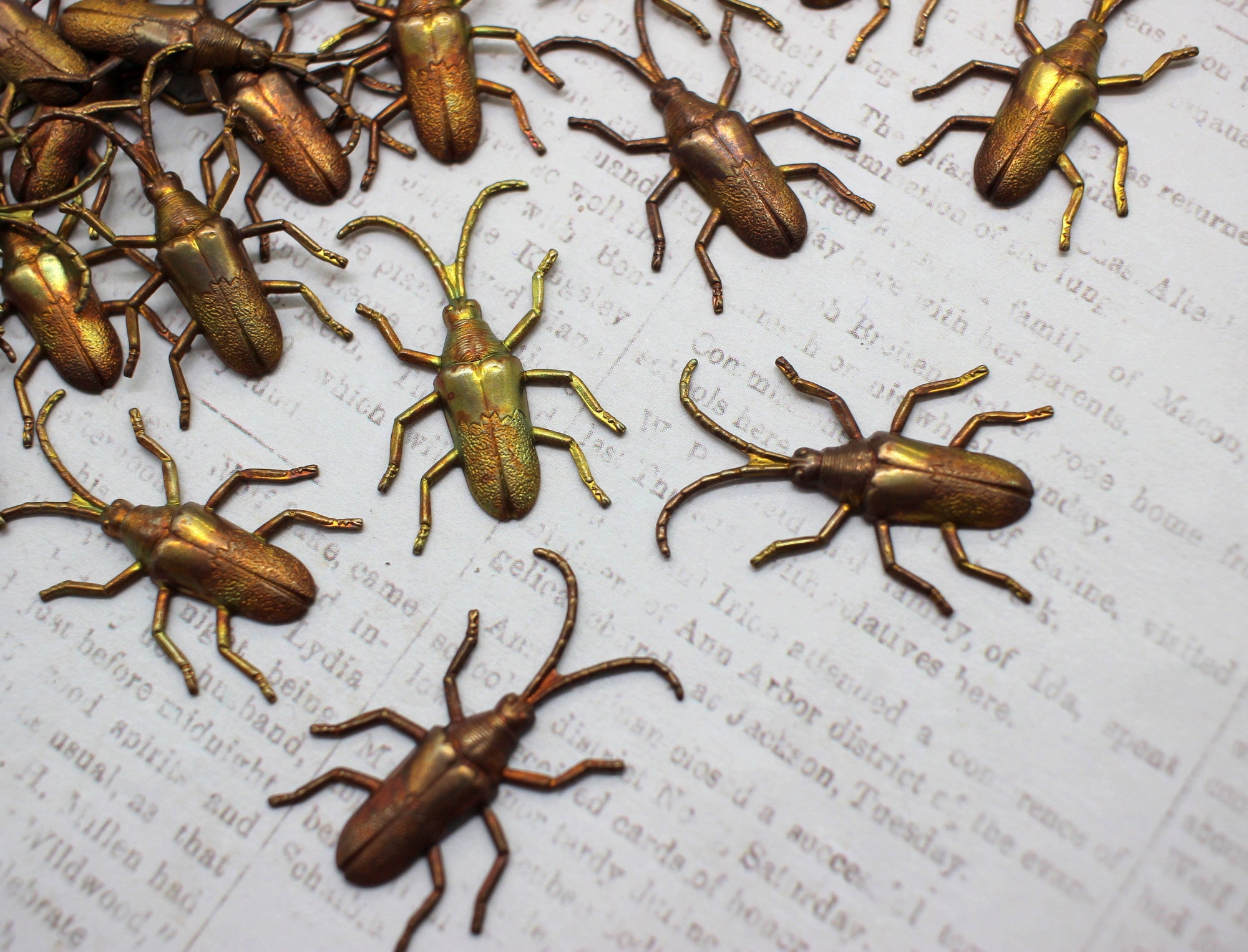 Oxidized Brass Longhorn Beetle Bug Stampings - Etsy