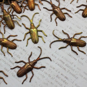 Oxidized Brass Longhorn Beetle Bug Stampings - Etsy