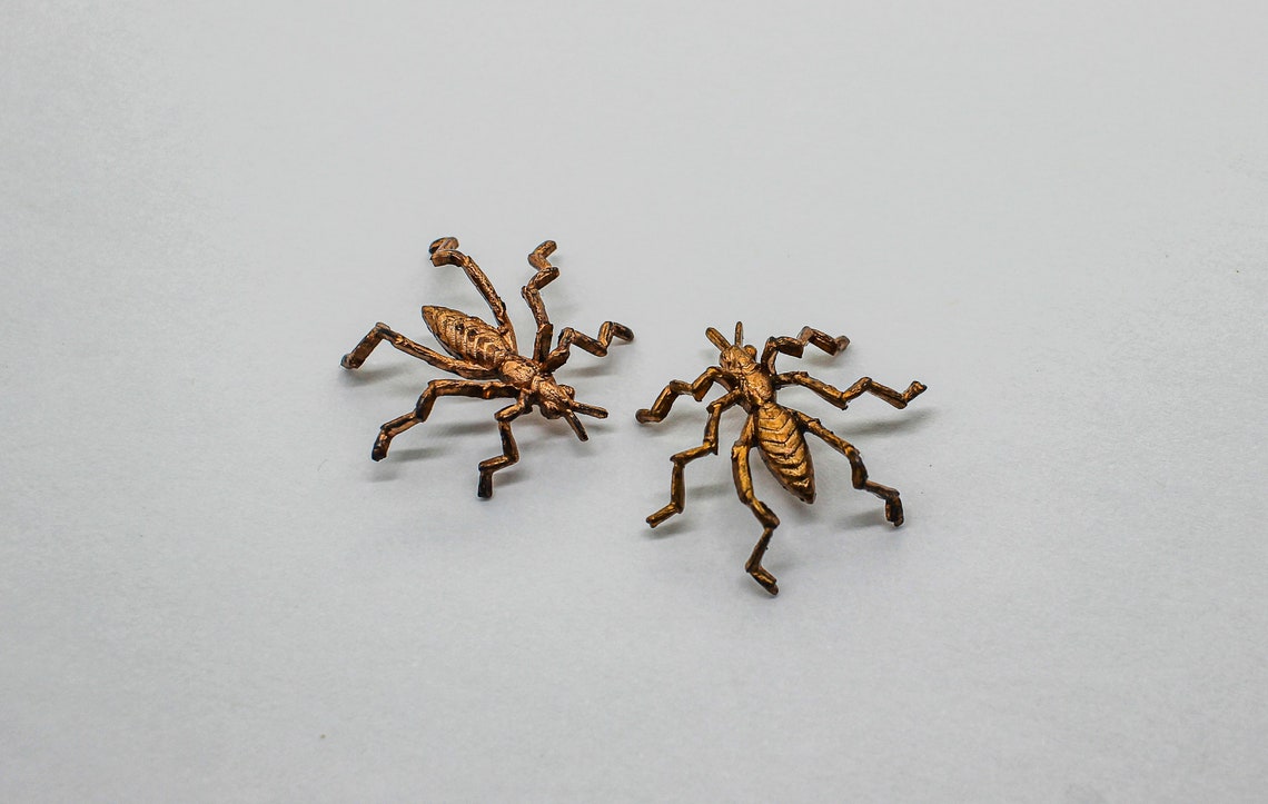 Unusual Oxidized Brass Bug Finding - Etsy