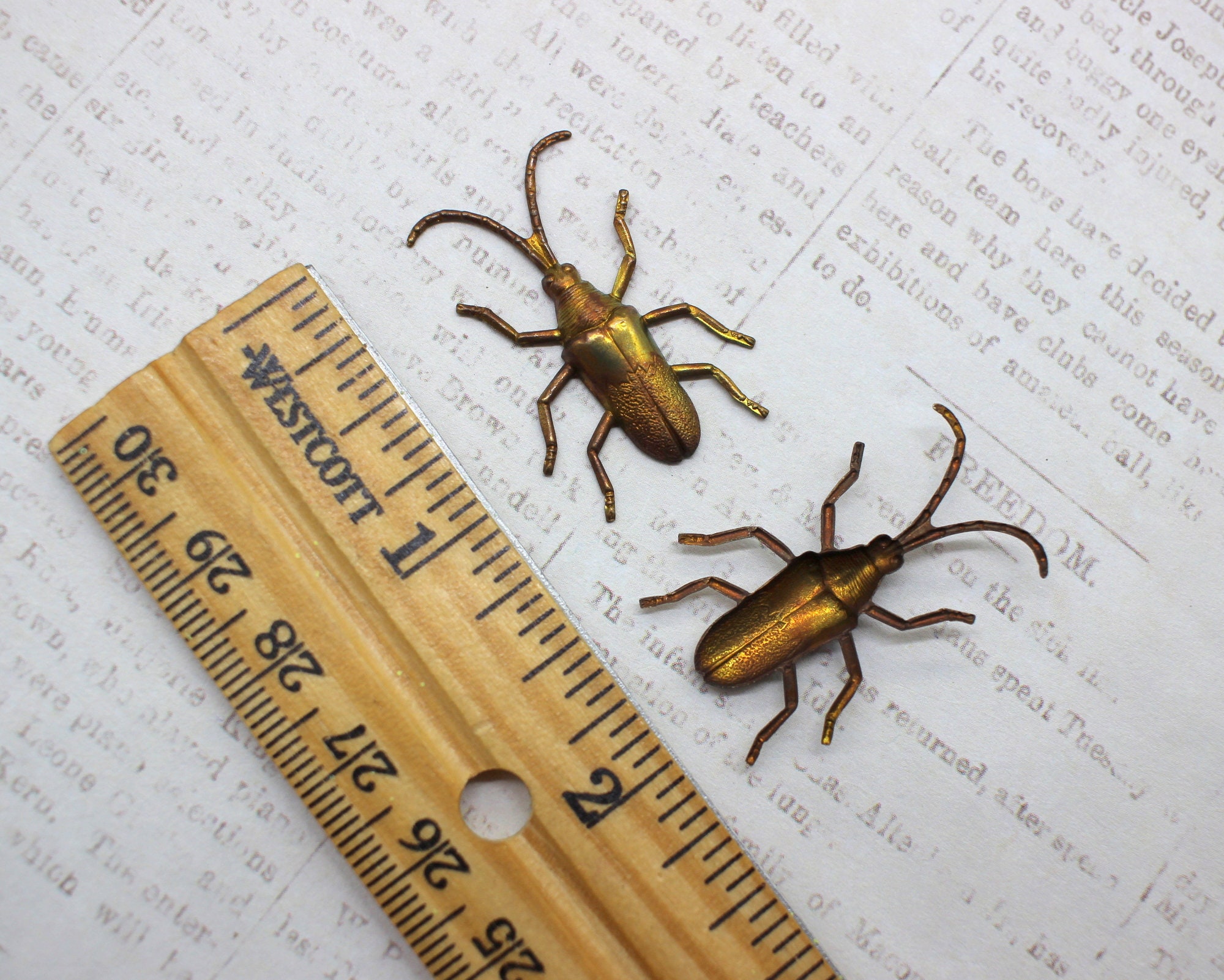 Oxidized Brass Longhorn Beetle Bug Stampings - Etsy