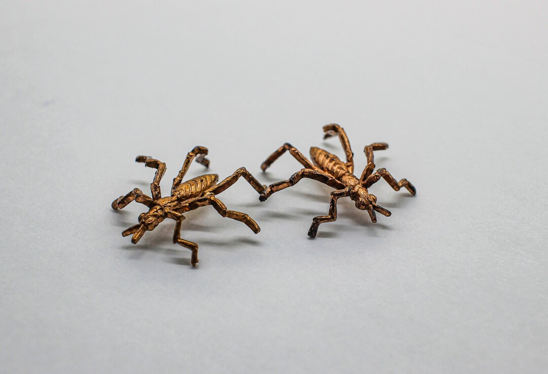 Unusual Oxidized Brass Bug Finding - Etsy