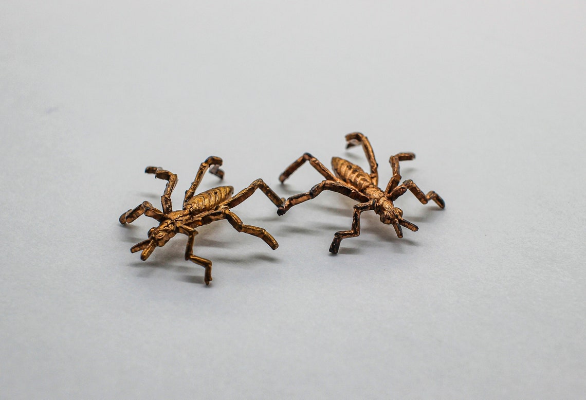Unusual Oxidized Brass Bug Finding - Etsy