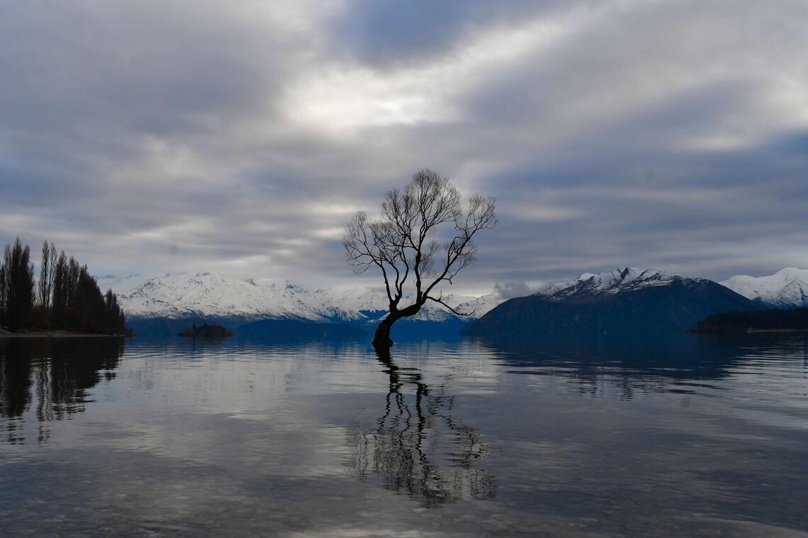 Wānaka Tree - Fall Autumn Lake Wānaka - Sunset New Zealand Ngāi Tahu ...