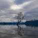 Wānaka Tree - Fall Autumn Lake Wānaka - Sunset New Zealand Ngāi Tahu ...