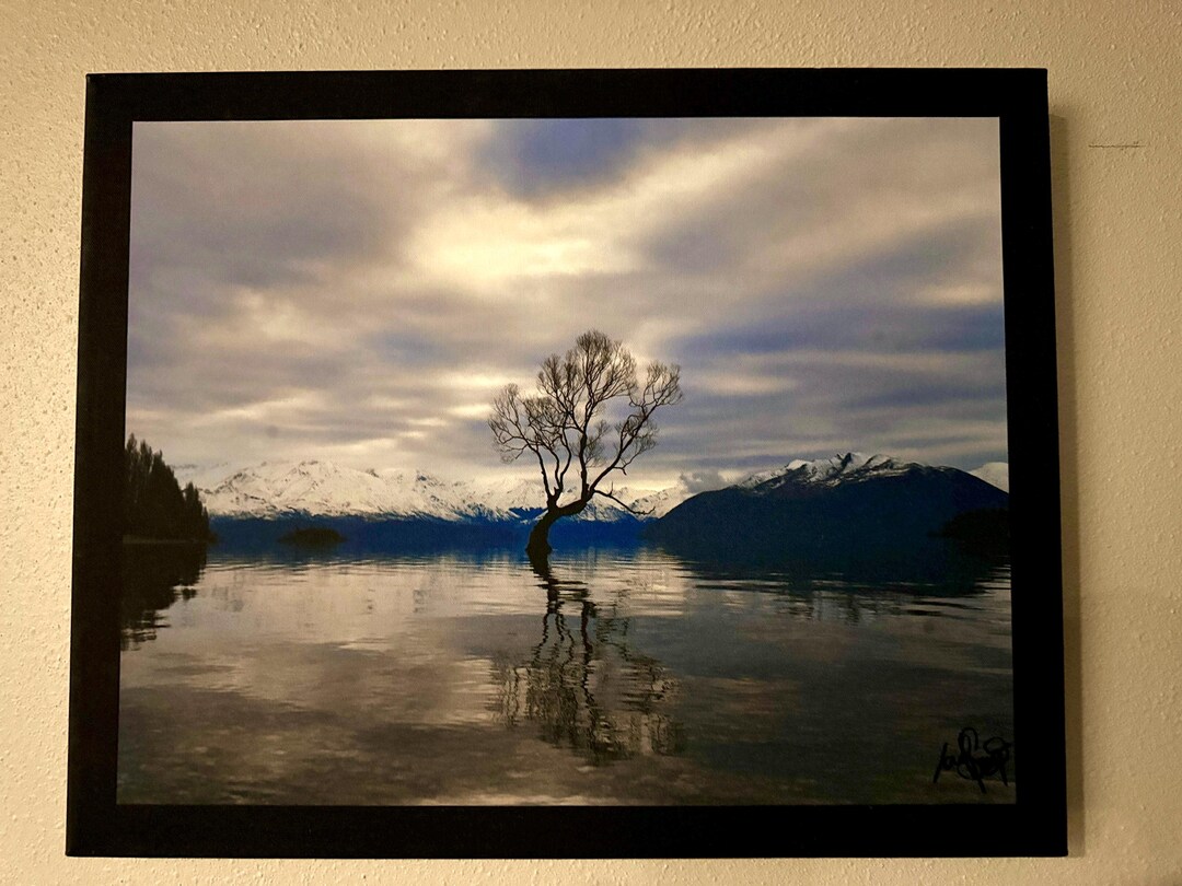 Lake Wanaka Tree Photography Print, New Zealand Landscape, Signed ...