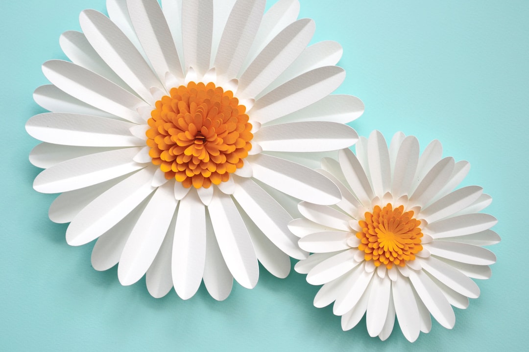 Large Paper Daisy Tutorial Svg Cut File DXF File Download - Etsy