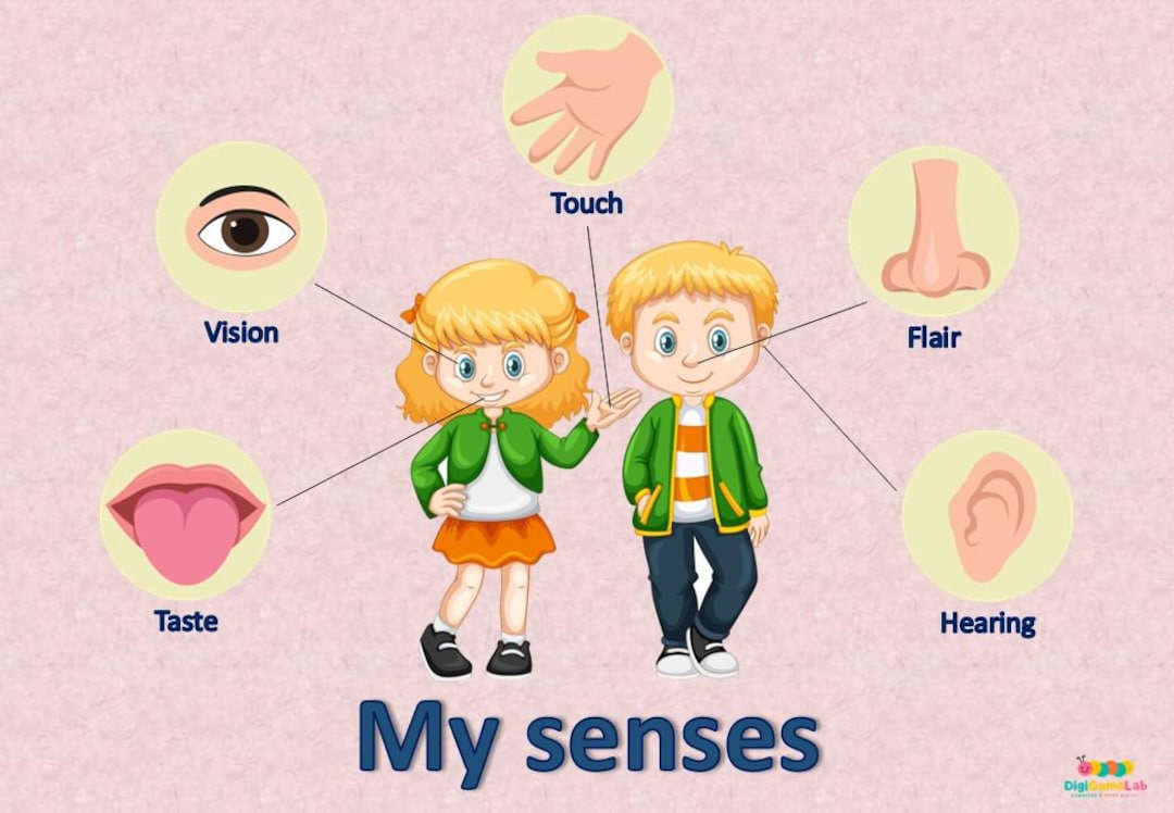 Sense Organs. Games for Children About Health. Good Habits. Health ...