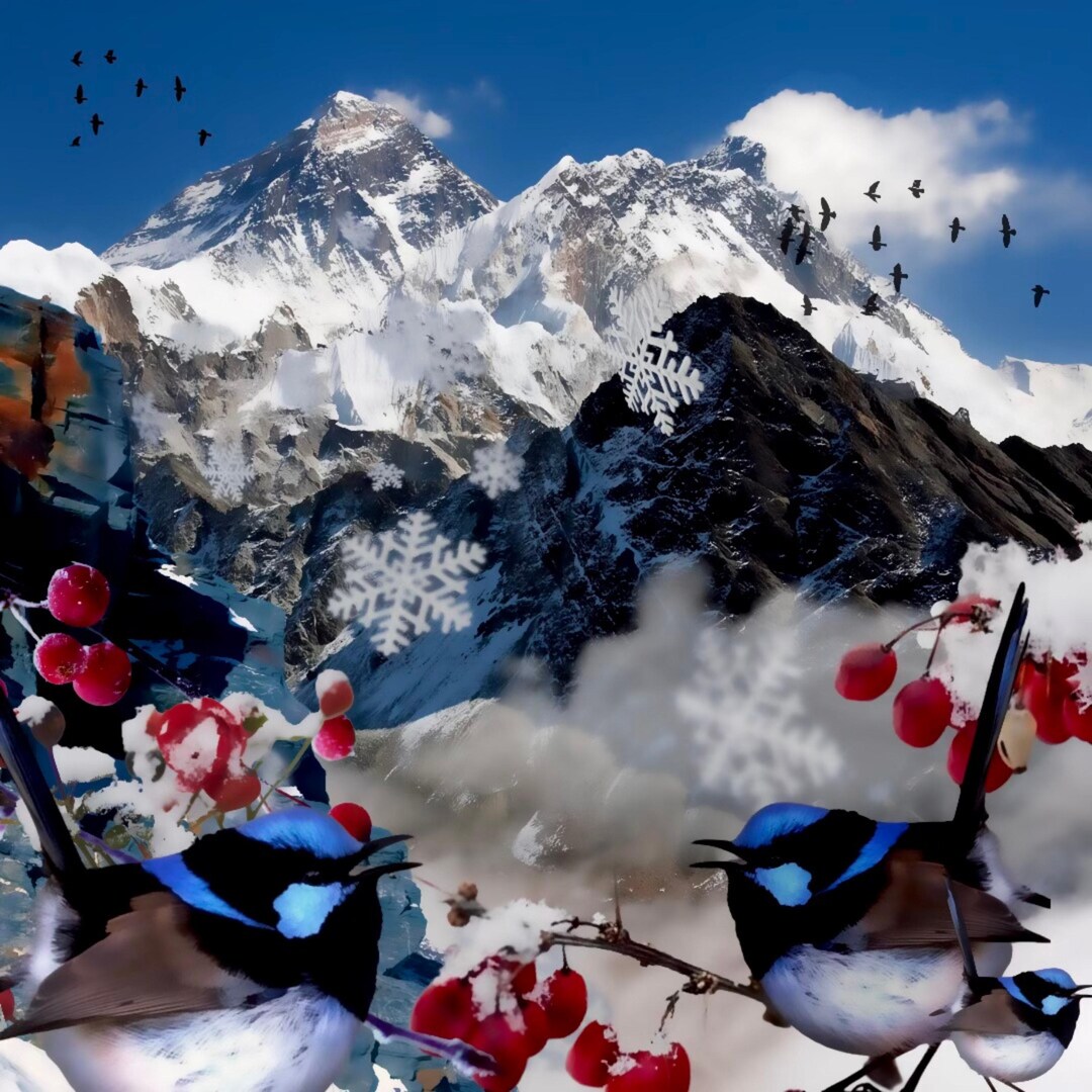 Aspen, Original HD Digital Cover Art Printed on Premium Semi-glossy ...