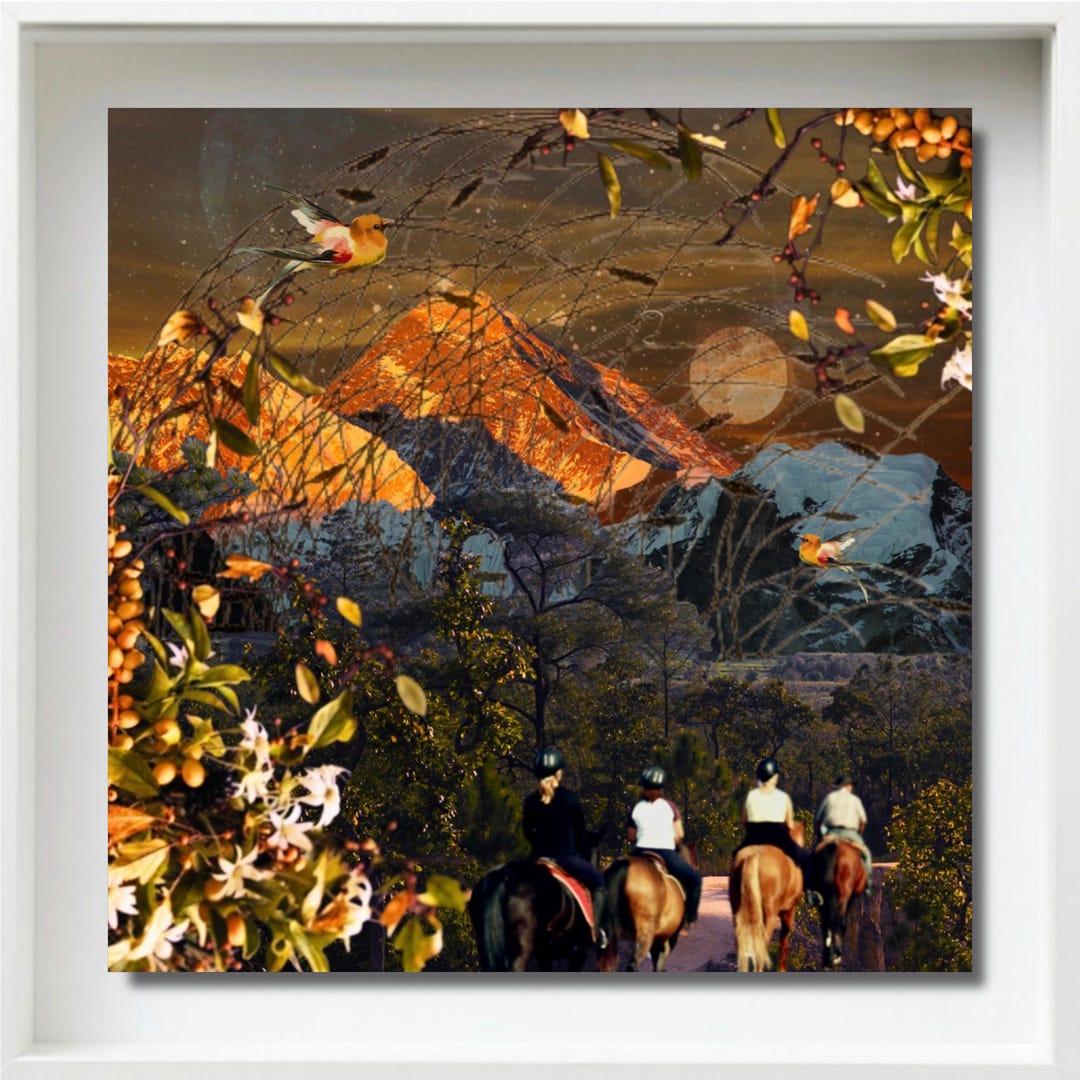 Highlander, Surreal Indian Summer View Wind Blowing Tall Grass ...