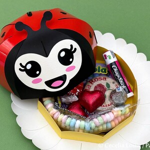 Ladybug Box for Valentine's Day or Girl's Birthday Party Gift Favor ...
