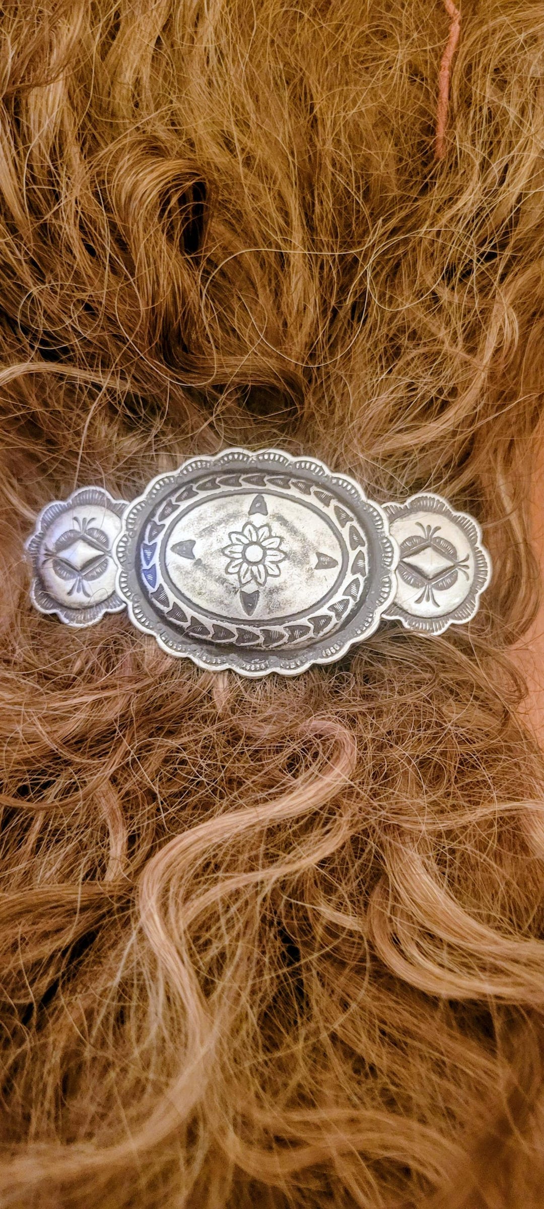 Santa Fe Style Silver Barrette, Southwestern Concho Hair Clip, Rodeo ...