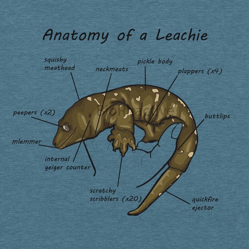 Anatomy of a Leachie Shirt, Leachianus T-shirt, Cute Funny Reptile ...
