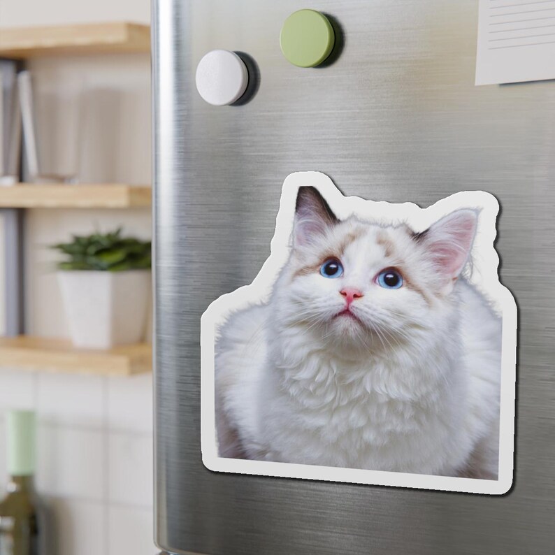 Custom Die Cut Magnets Personalized Photo Magnets, Custom Shapes ...