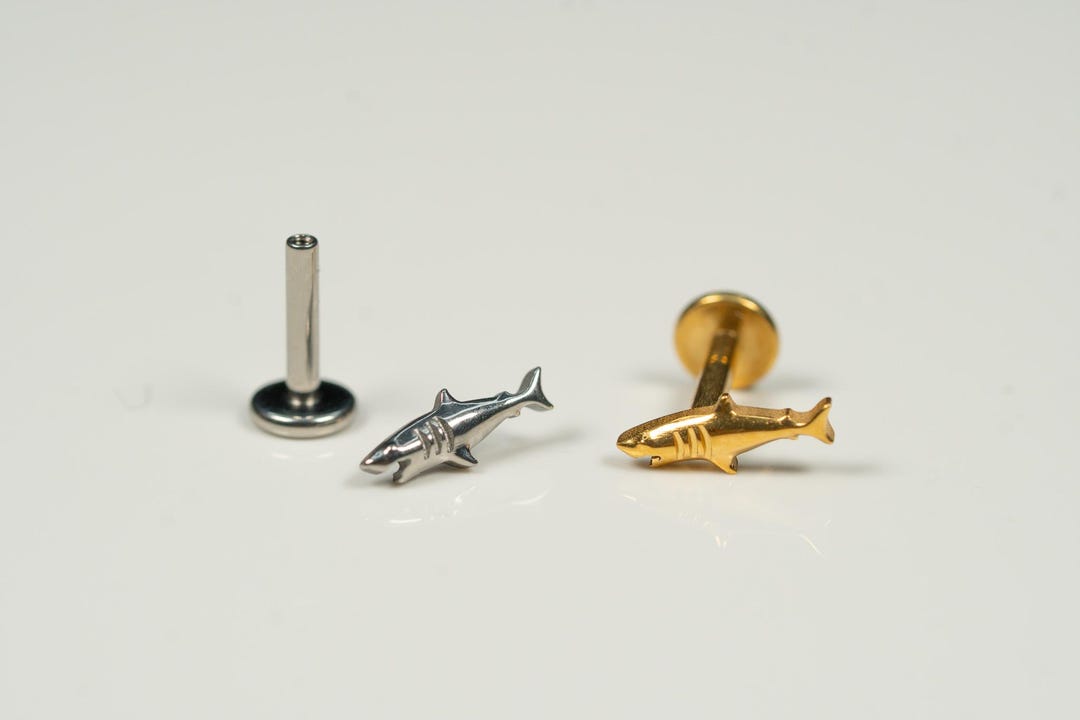 16G Shark Flat Back Stud, Screw Back Earrings, Internally Threaded ...