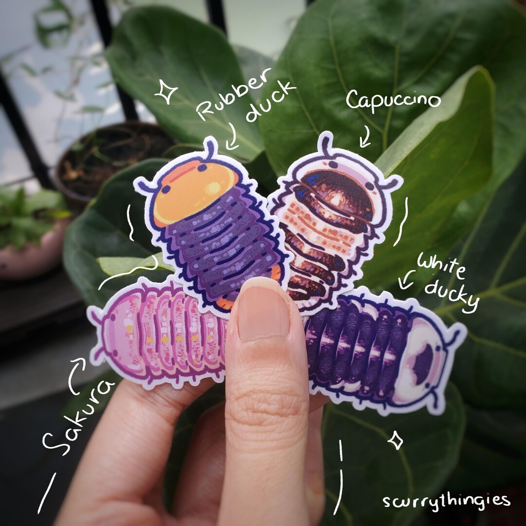Isopod Stickers Cubaris Label - Etsy