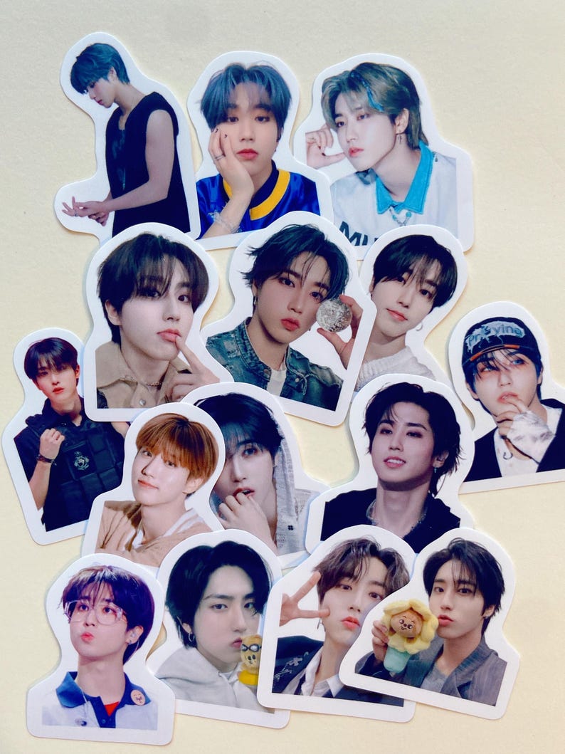 Stray Kids Sticker Pack K-pop Fan Gift Felix SKZ - Etsy