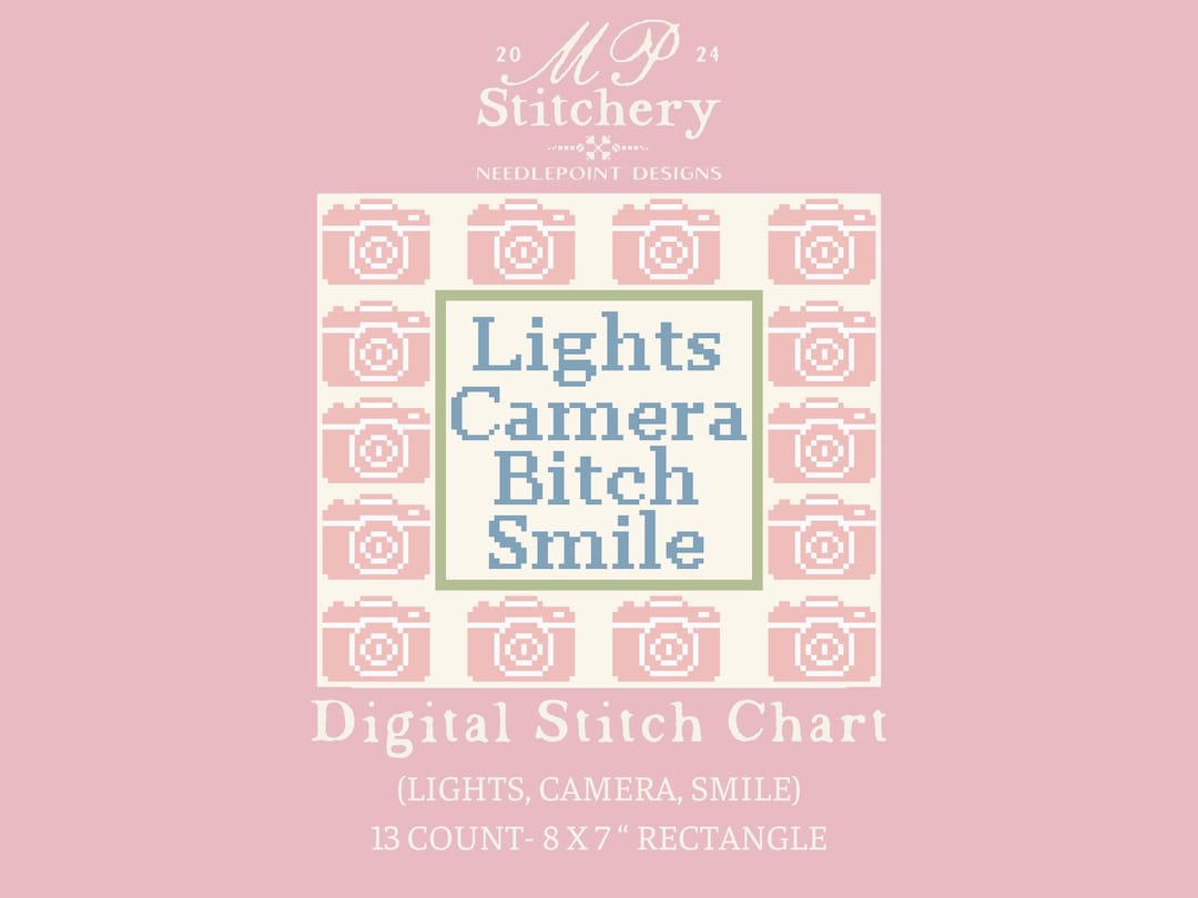 Taylor Swift Lights, Camera, Smile | Digital Stitch Chart Needlepoint ...