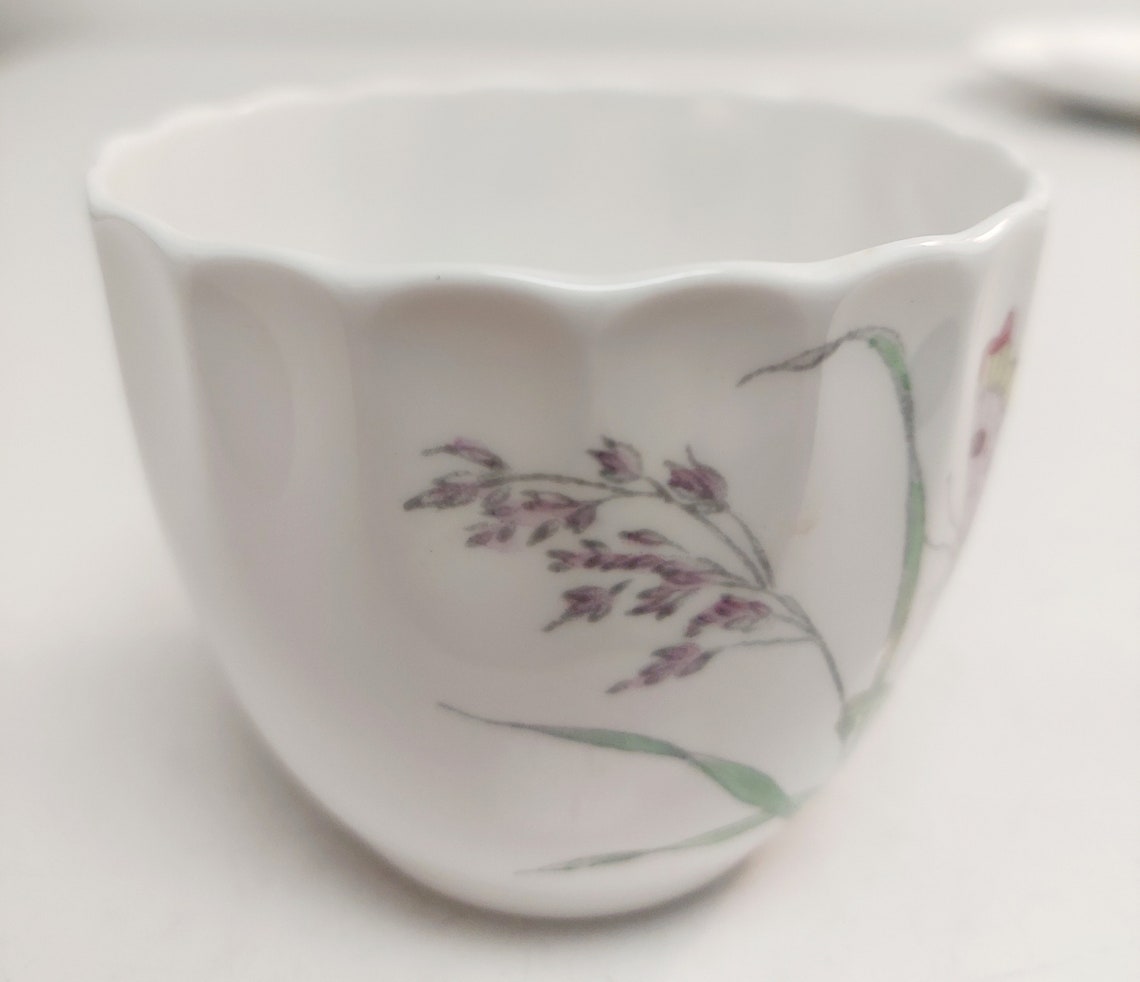 Three Piece Set Spode Copeland Butterfly Teacup Saucer and - Etsy