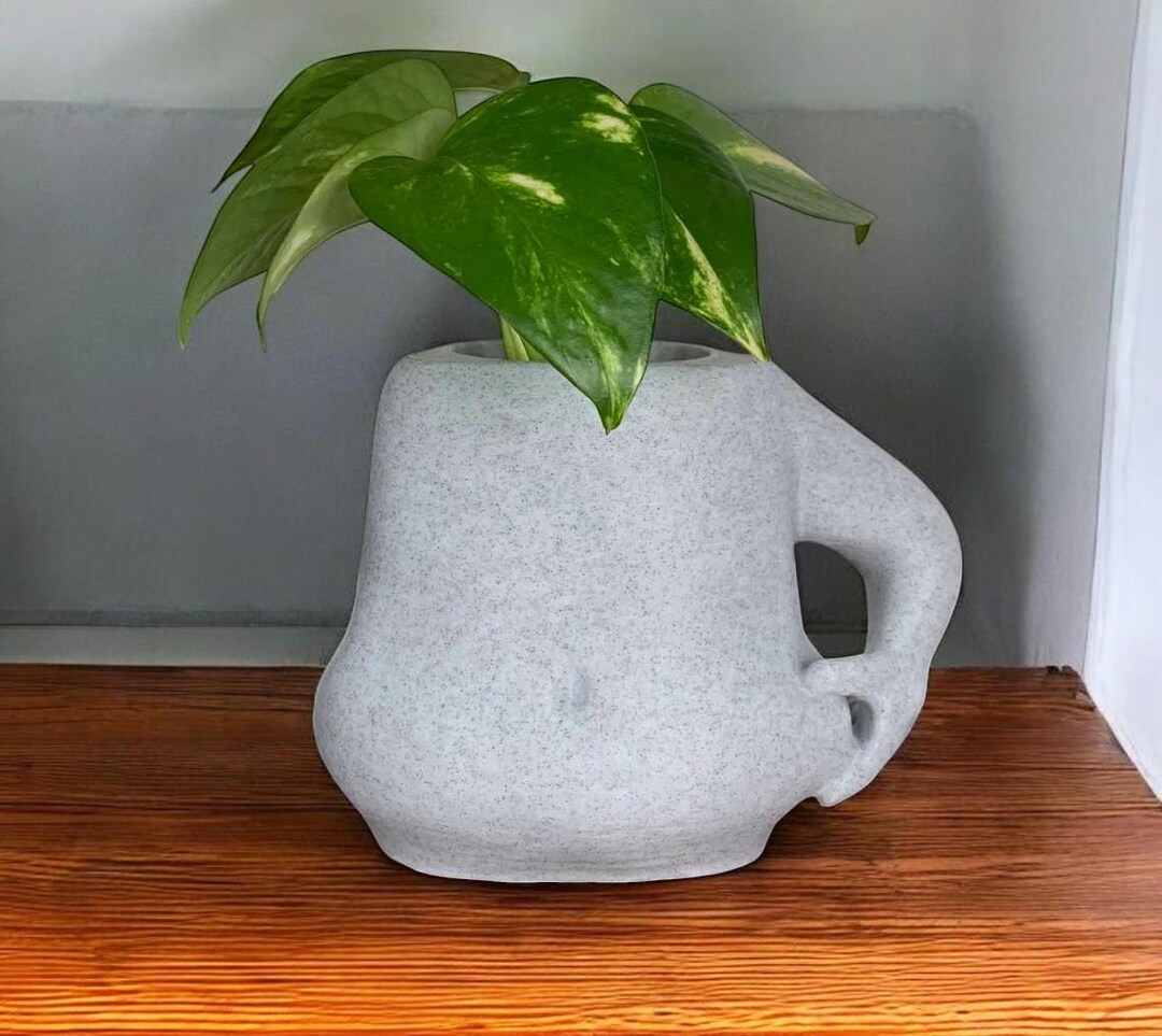 Unique Belly Shape Planter Modern Decorative Plant Pot Perfect for ...