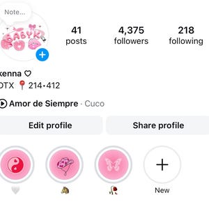 35 Digital Download Aesthetic Pink Instagram Highlight Cover Icons, Y2K ...