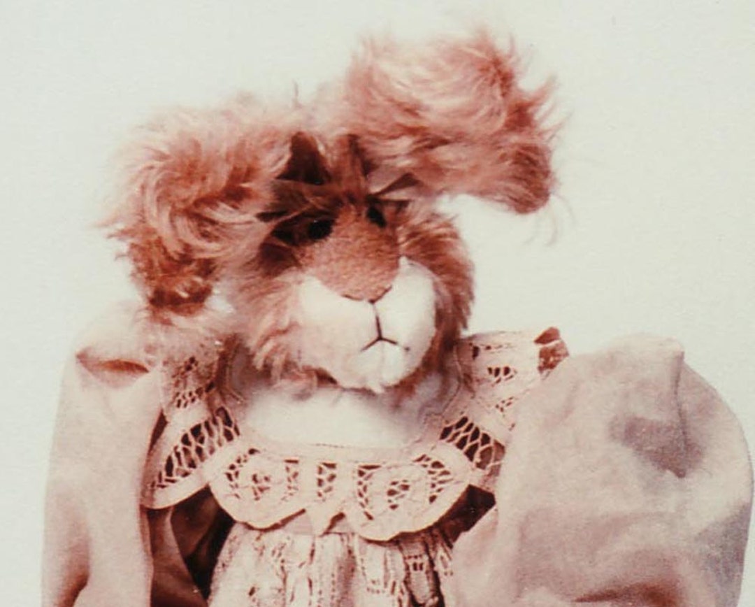 Country Bunny PDF Digital E-pattern: 18inch Rabbit and Clothing PDF ...