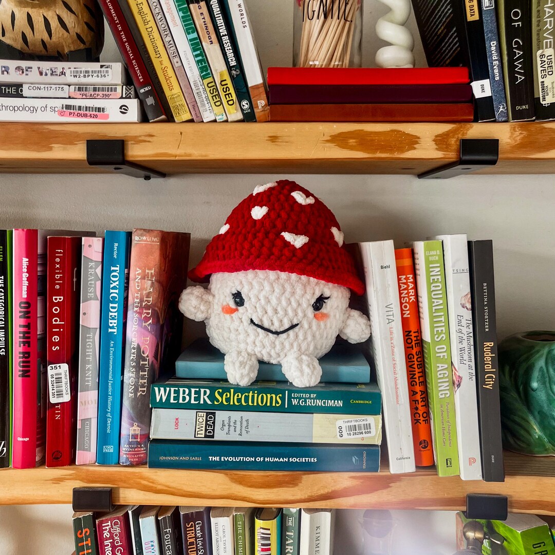 Cute Mushroom Plushies! Evil Toadstool and Love Mushroom- Large Crochet ...