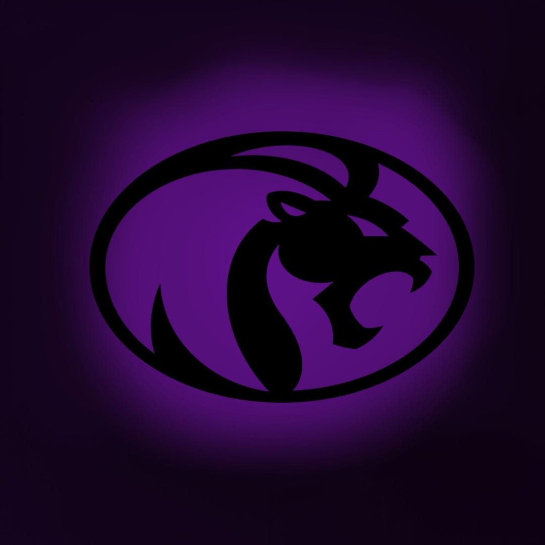 North Alabama Lions Led Metal Sign, Perfect Gift for Alumni Fans, NCAA ...