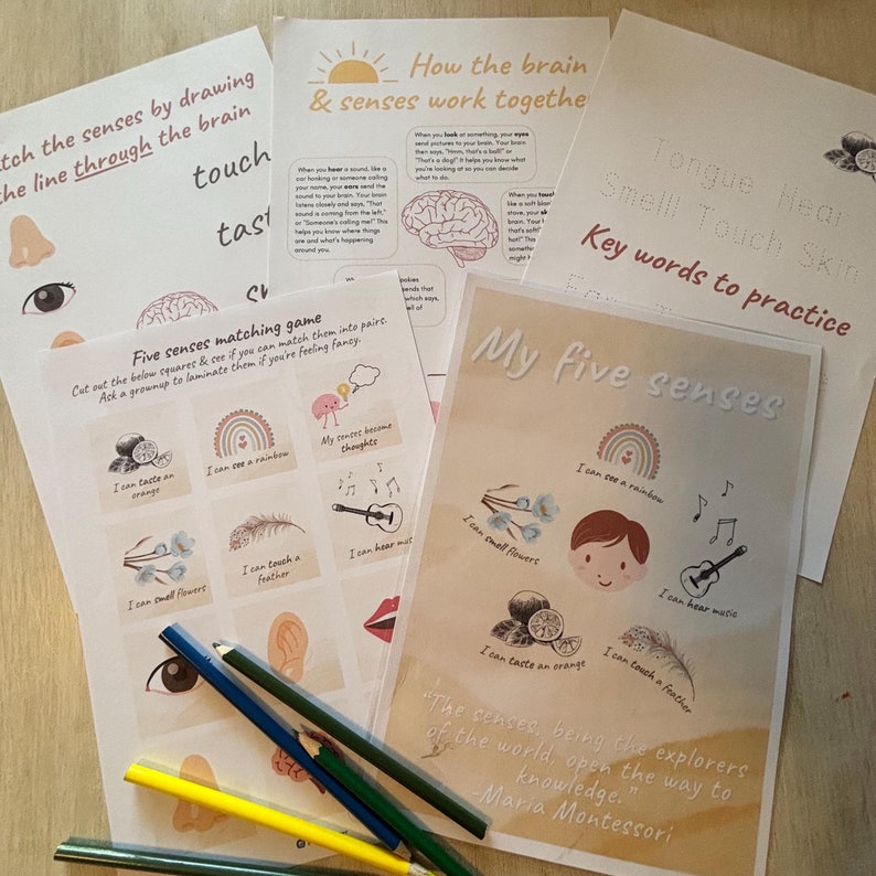 My Five Senses Printable Bundle Set With Activities & Posters/ Art ...
