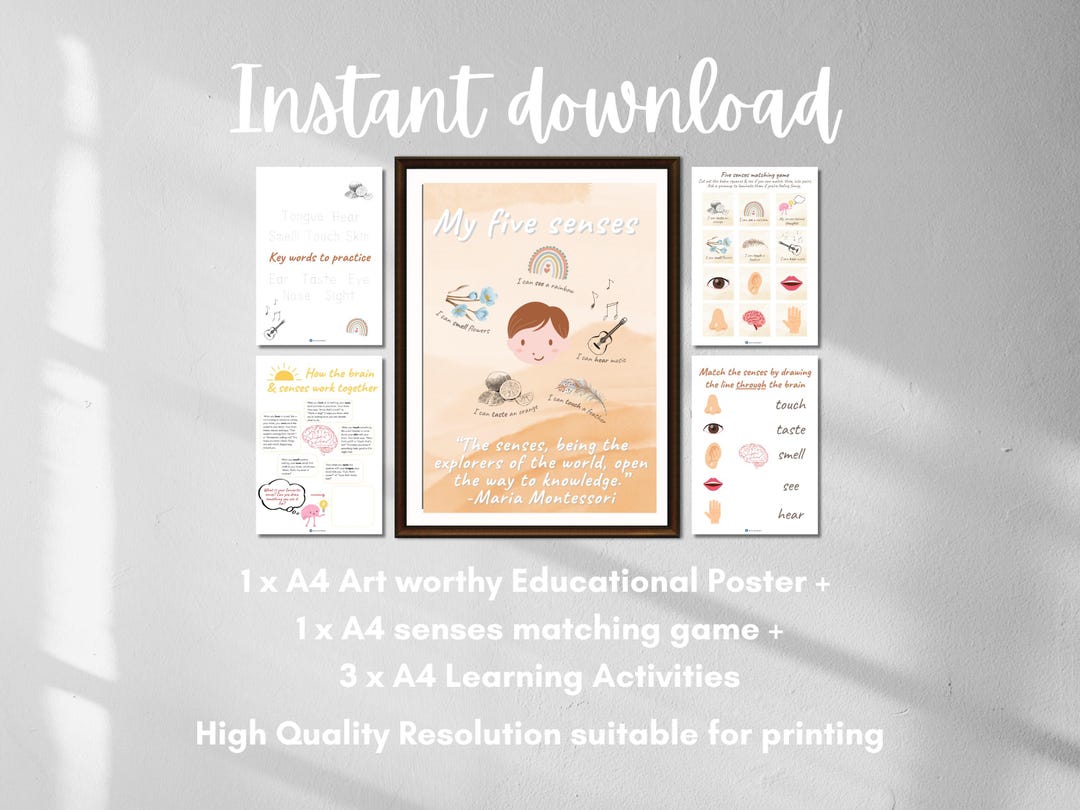 My Five Senses Printable Bundle Set With Activities & Posters/ Art ...