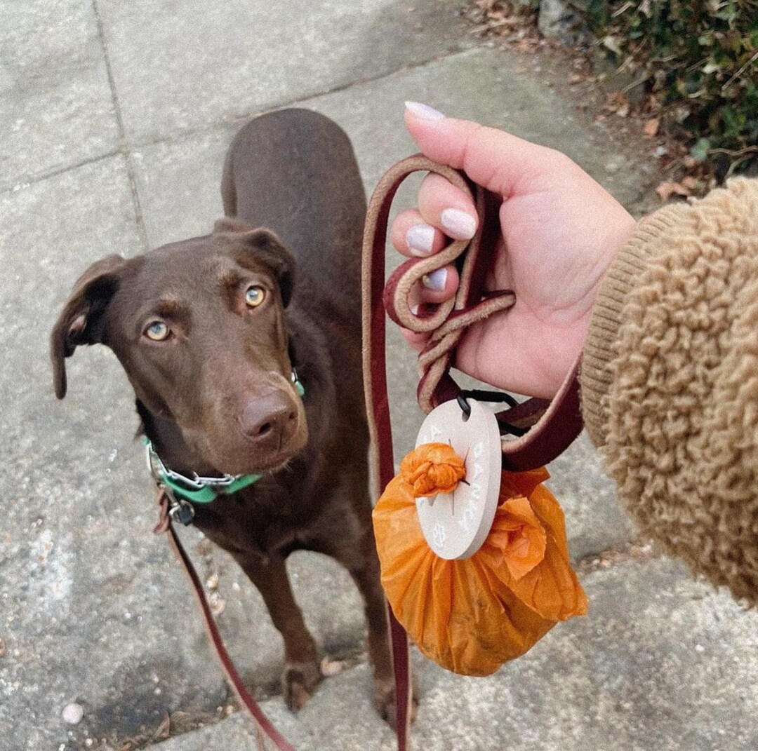 Used Poop Bag Holder, Dog Poop Bag Holder, Waste Carry Clip, Dog ...