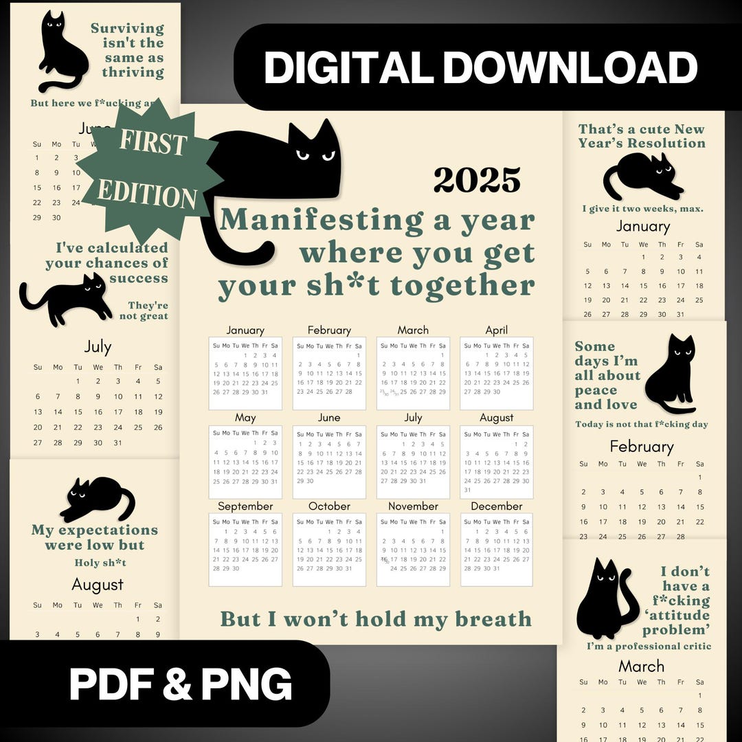 Judgy Cat Calendar 2025 & 2026, Sassy AF Swearing Cat Monthly Planner ...
