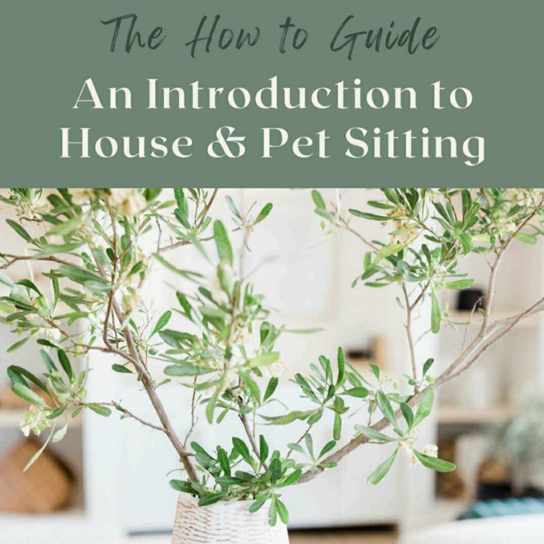 House and Pet Sitting Guide: Expert Tips & Tricks (24-page Ebook) - Etsy