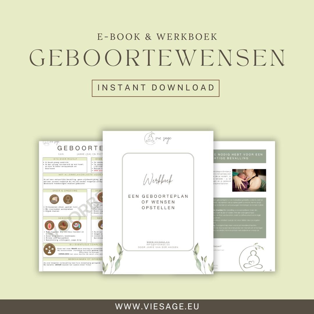 Dutch Birth Plan Wish Plan for Labor and Delivery - Etsy