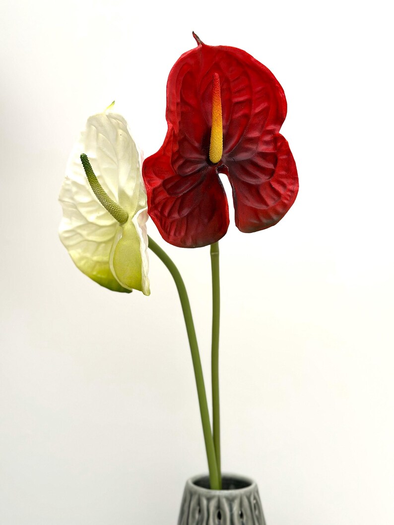 Tige d'Anthurium Real Touch : fausse fleur tropicale, symbole de l ...