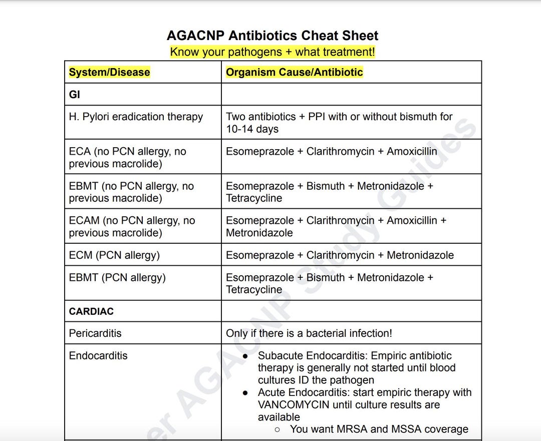 AGACNP Antibiotic Cheat Sheet - Etsy