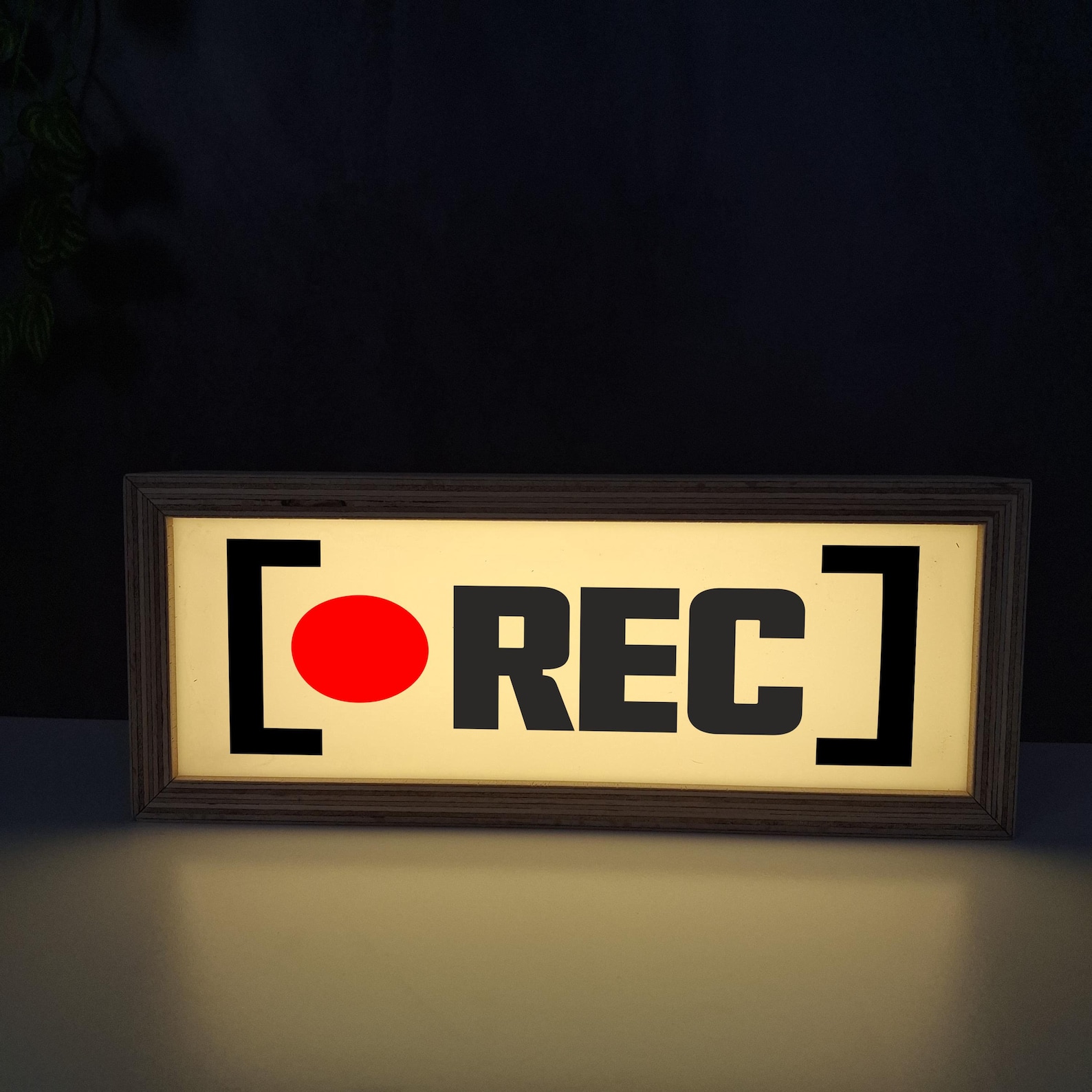 LED Recording Studio Sign | Soundproof Room Light Box | Studio in Use ...