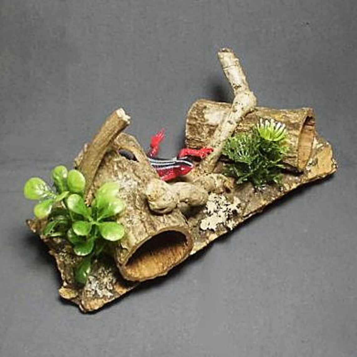 Hide Cave for Reptiles and Small Animals Made of Natural Materials ...