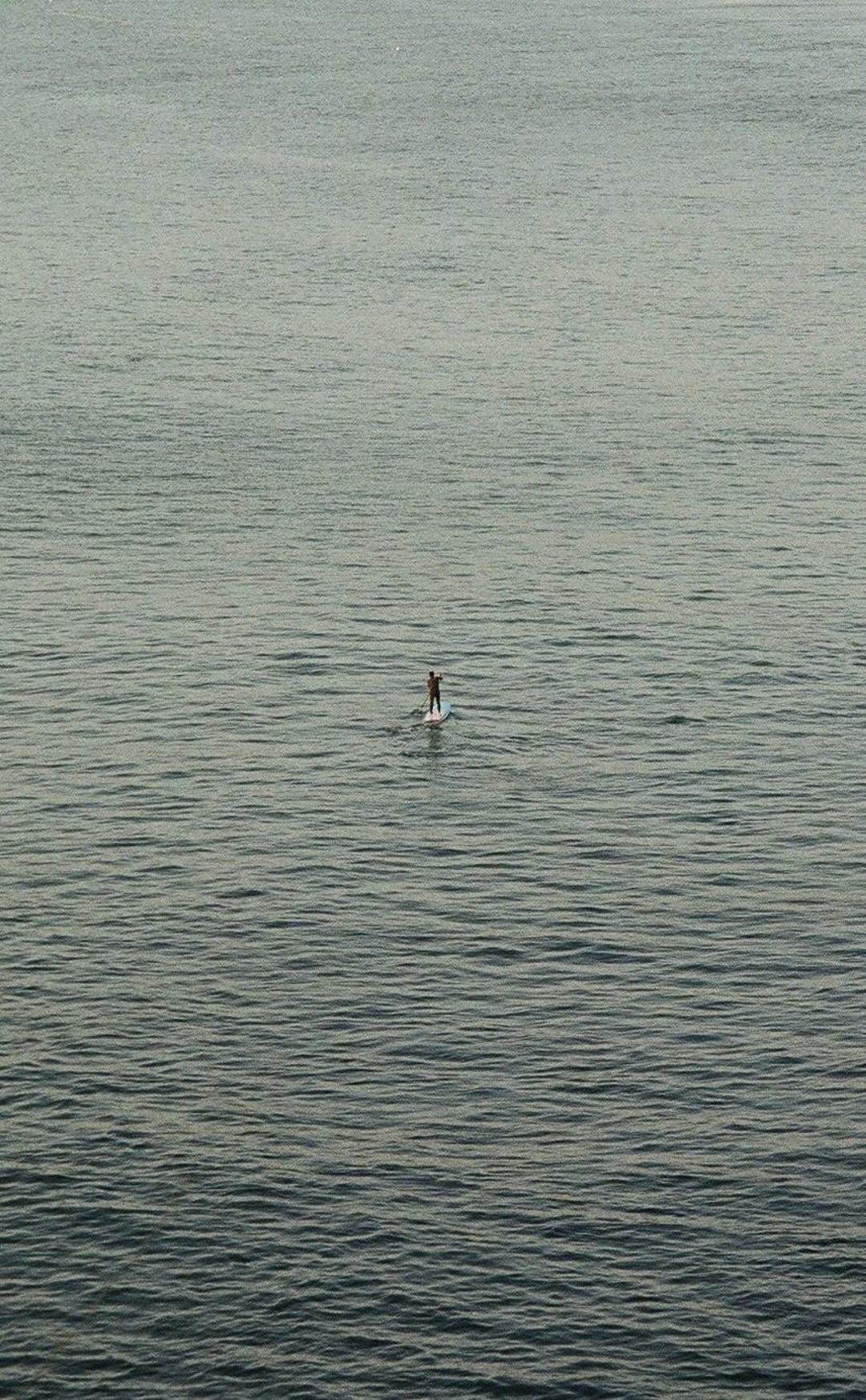 Paddle Board Photo Wall Art Print Coastal Cowboy Beach Aesthetic ...