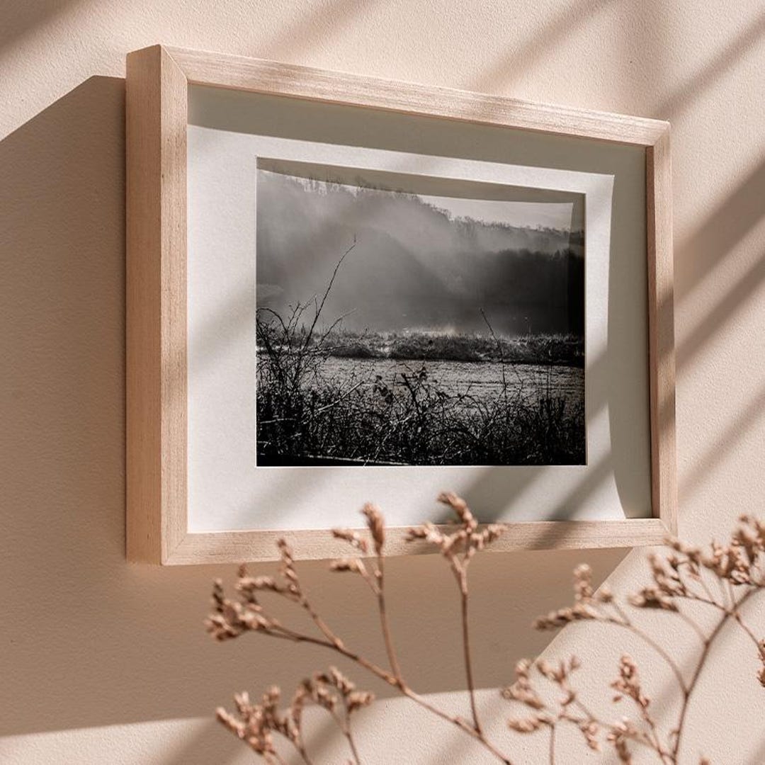 Dawn Mist A4 Digital Water Birds Monochrome Photograph Waterfront ...