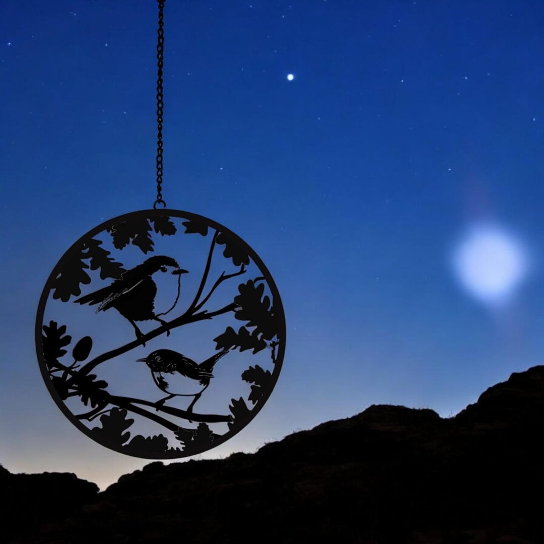 Black Robin and Wren Hanging Mirror Silhouette, Bird Wall Art for Home ...