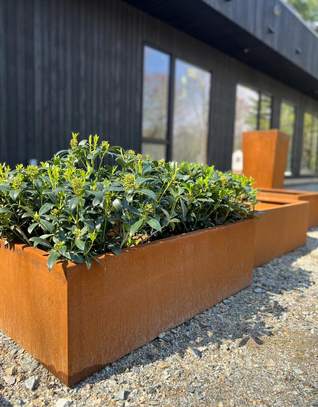 Square Low Garden Bed Planter, Corten Steel Planter, Garden Bed, Cube ...