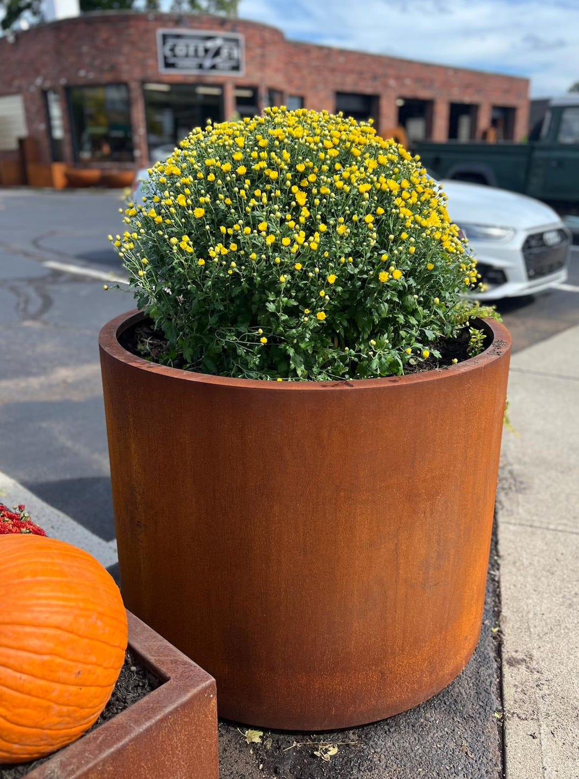 Circular Tall Corten Planter, Corten Steel Planter, Round Planter ...