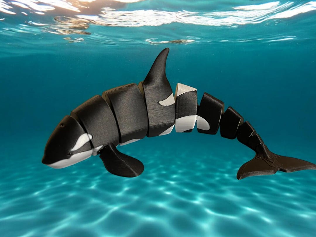 Big Beautiful Orca Whale Model Fidget Toy Sensory Ocean Animal - Etsy